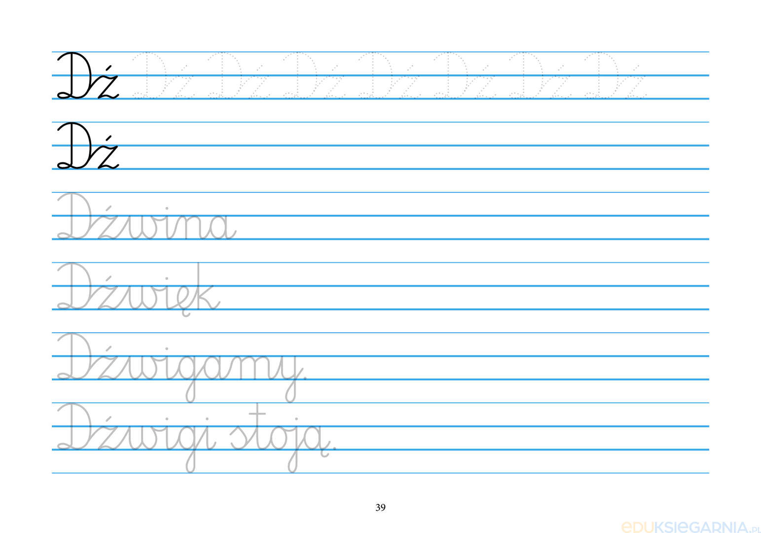 Kaligrafia dwuznaków i połączeń polskich liter - Eduksiegarnia.pl