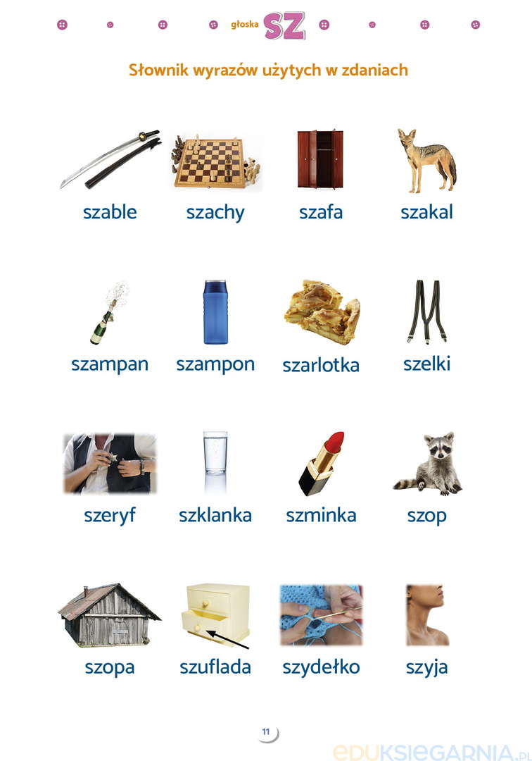 Zdania obrazkowo-wyrazowe. Materiał do terapii głosek sz, ż, cz, dż - Eduksiegarnia.pl