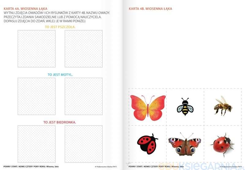 Pewny Start. Nowe Cztery Pory Roku. Wiosna Lato. Karty pracy ...