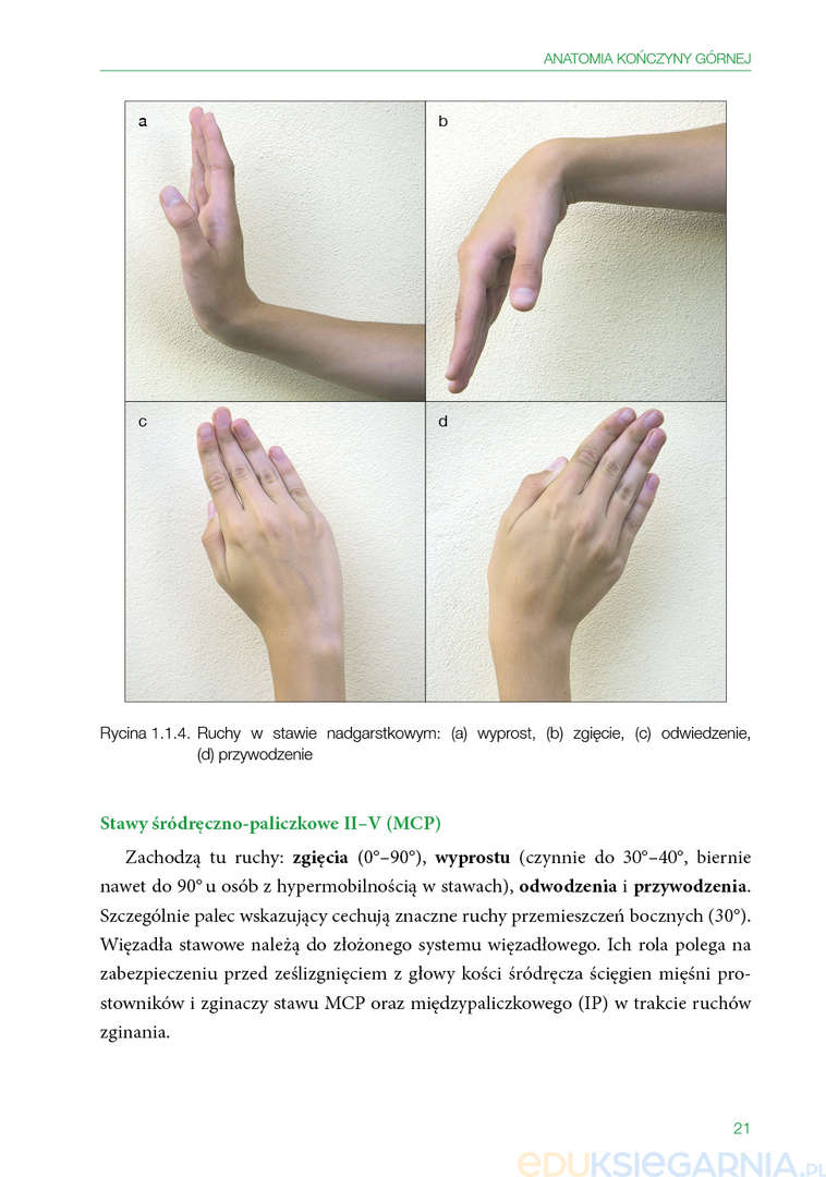Smart Hand Model. Diagnoza i terapia ręki u dzieci - Eduksiegarnia.pl